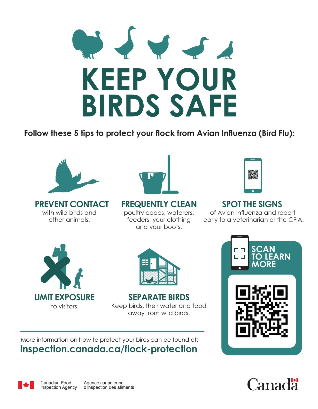 Better Watch Your Birds! The Flu Is Here. | Country 100.7