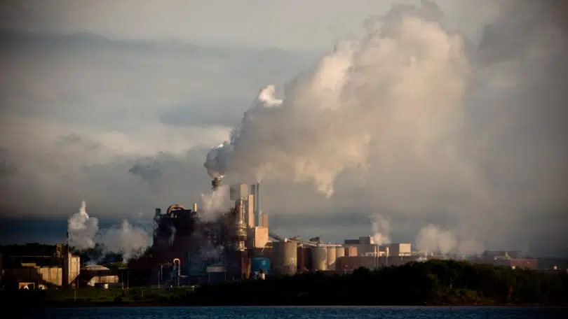 Northern Pulp Officials Say They Plan To Reopen Nova Scotia Mill In The ...