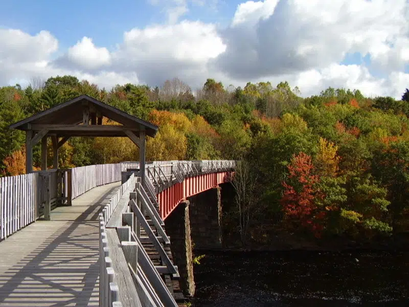 Hike NS Looking For Election Committment | Y95.5