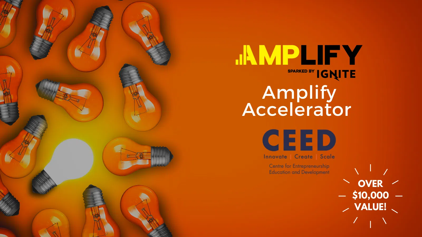 IGNITE’s Amplify Accelerator Program Opens For Rural Entrepreneurs | Surge 105