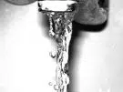 Trickle Your Taps | CFOB 93.1 The Border