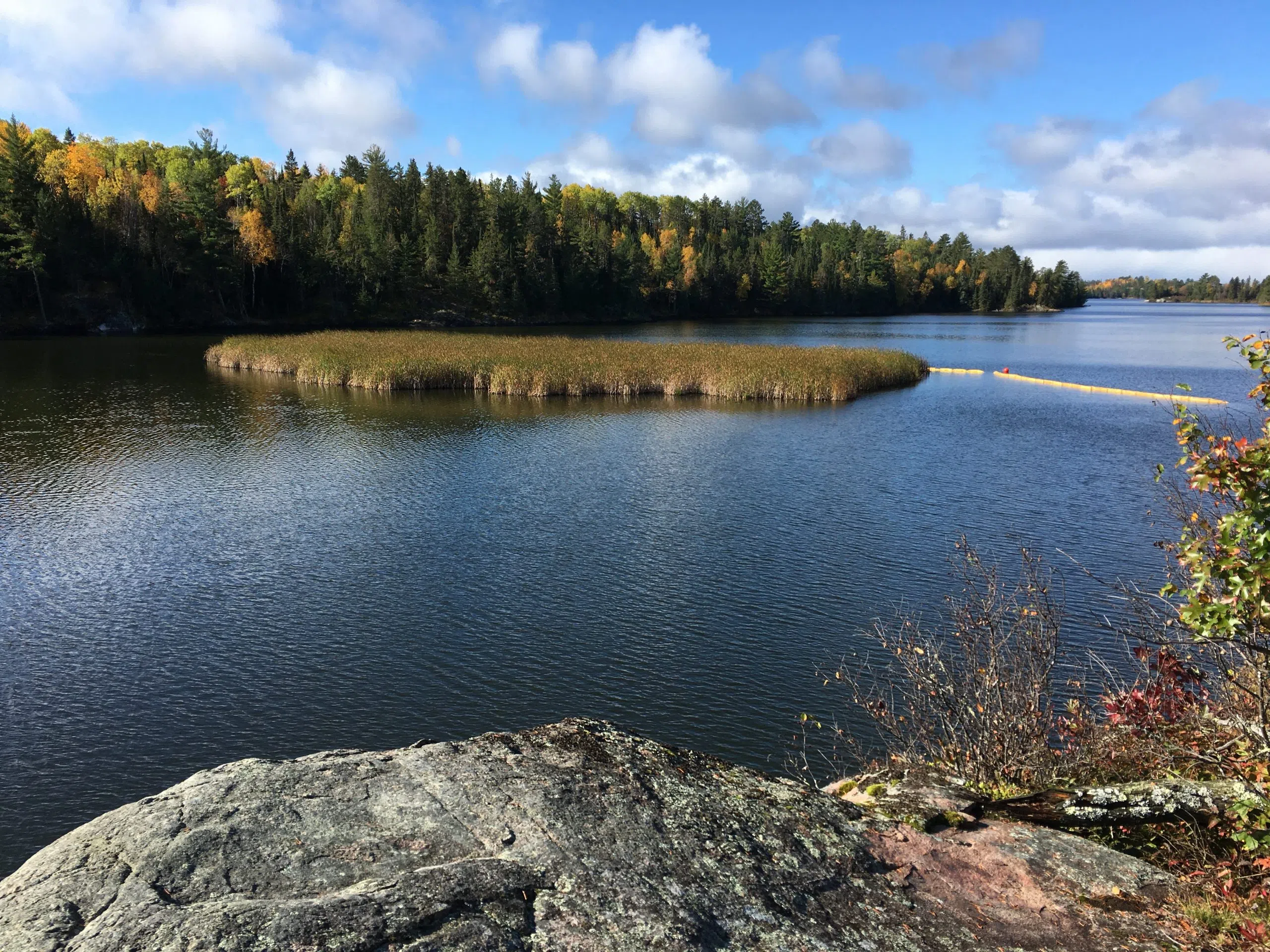 Park To Deal With Floating Cattail Mat | CFOB 93.1 The Border