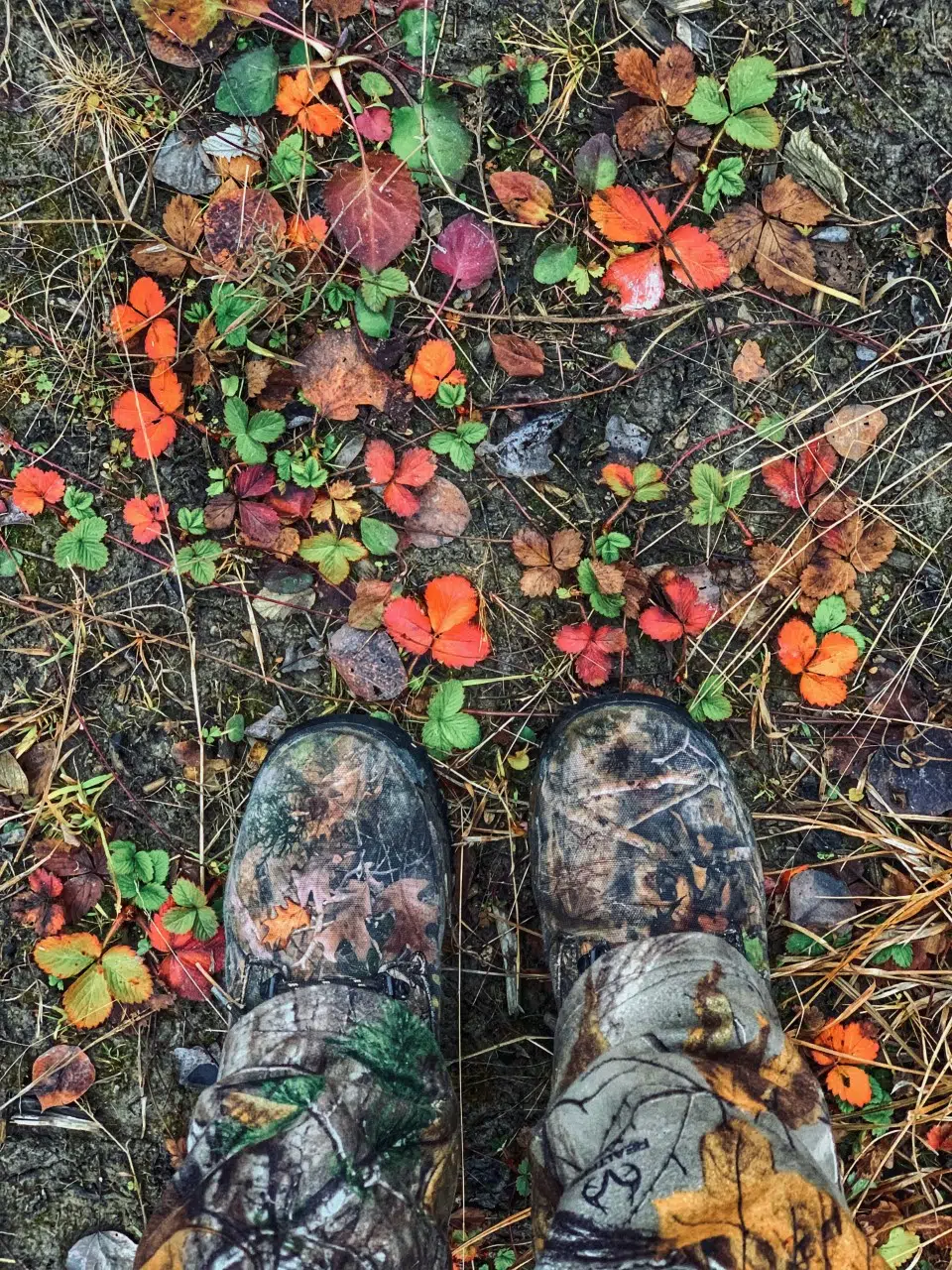 A Hunting Adventure Capture | CKDR