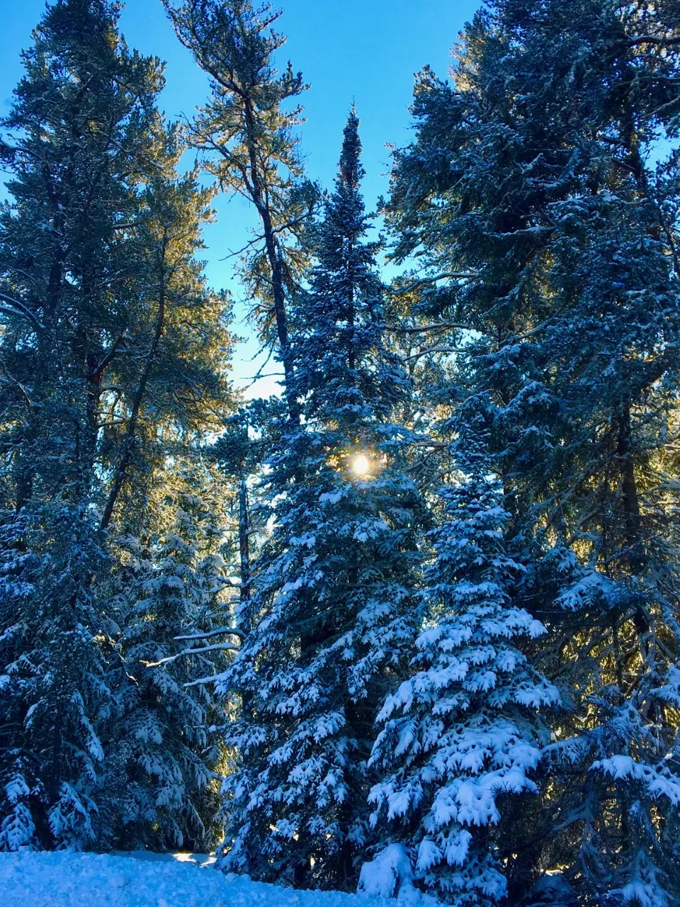 Beautiful But Cold | CKDR