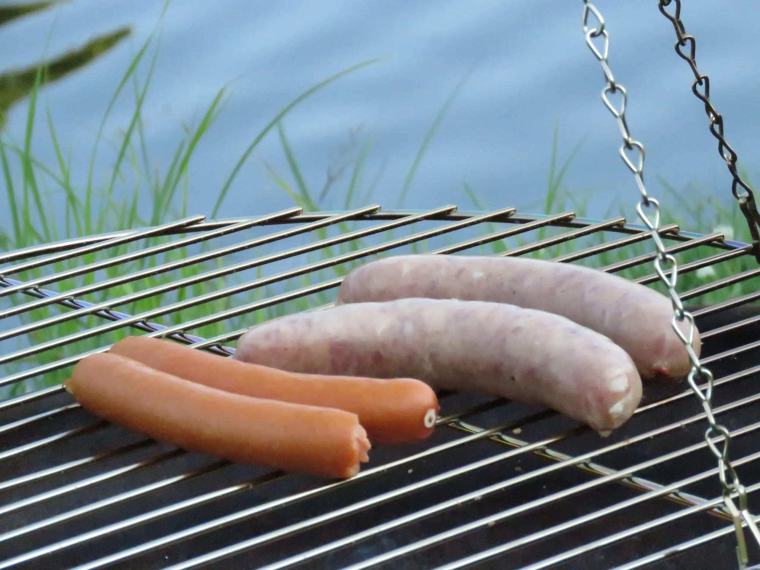 Wisconsin DATCP Encourages Grilling Locally Produced Meat This Labor ...