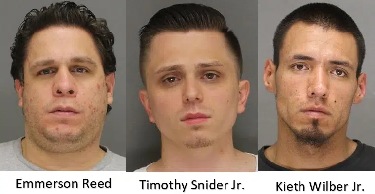 Green Bay Woman Sentenced in Body Burning Case | Seehafer News