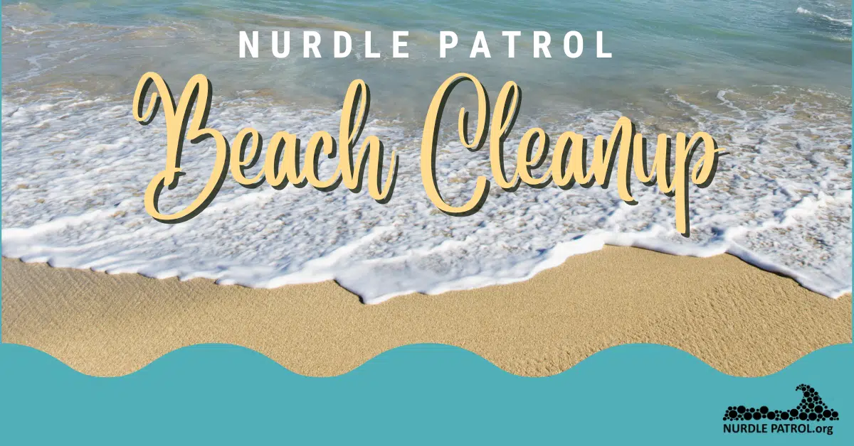 Manitowoc Public Library’s Nurdle Patrol is Ready for Action | Seehafer News