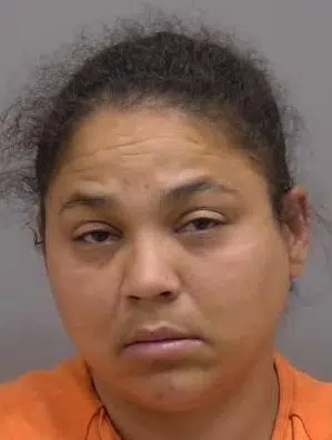 Bail Set for Manitowoc Woman Accused of Hitting Child with Frying Pan ...