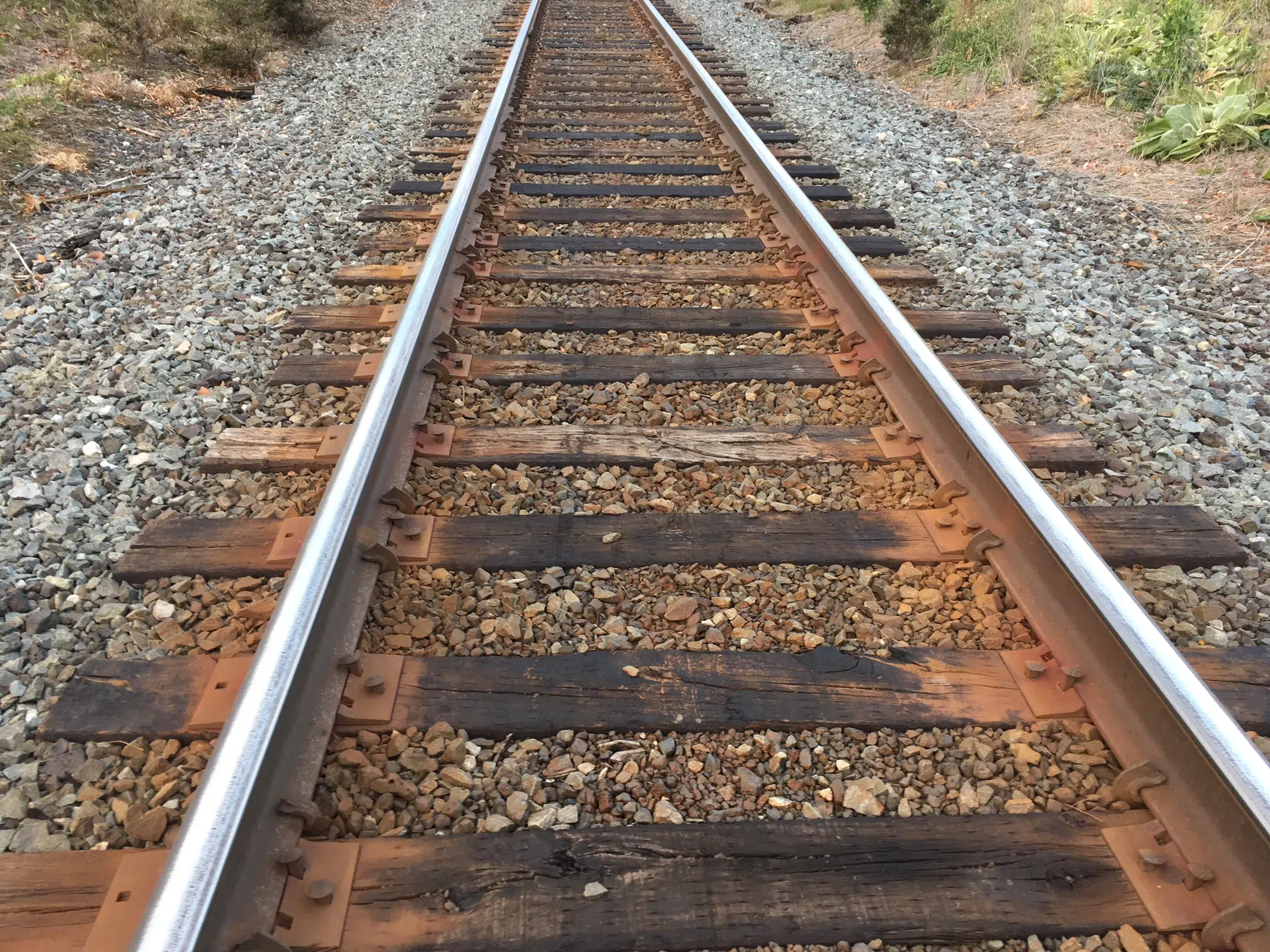 Fatality on train tracks | Quinte News