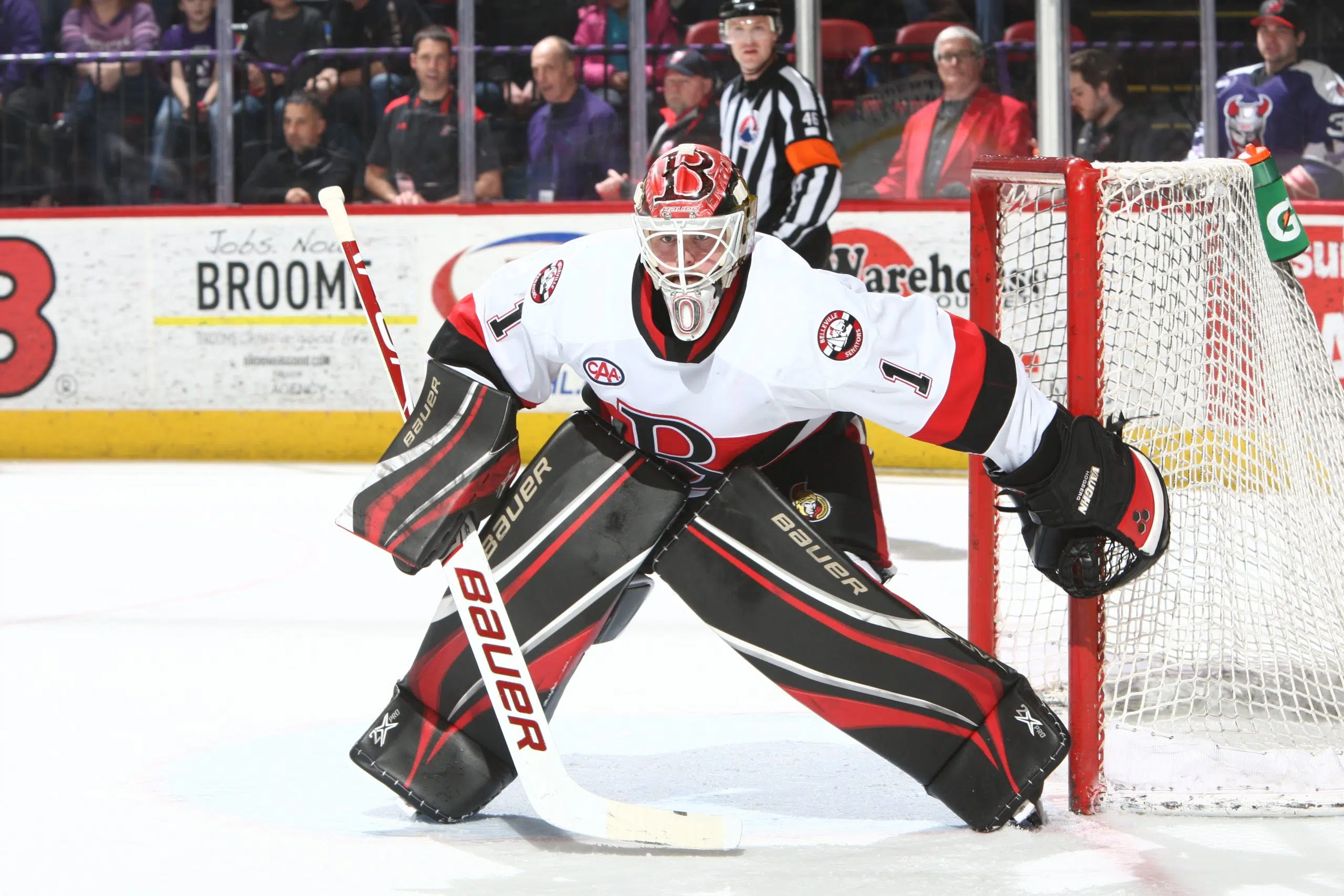 Hogberg headed back to Sweden | Quinte News