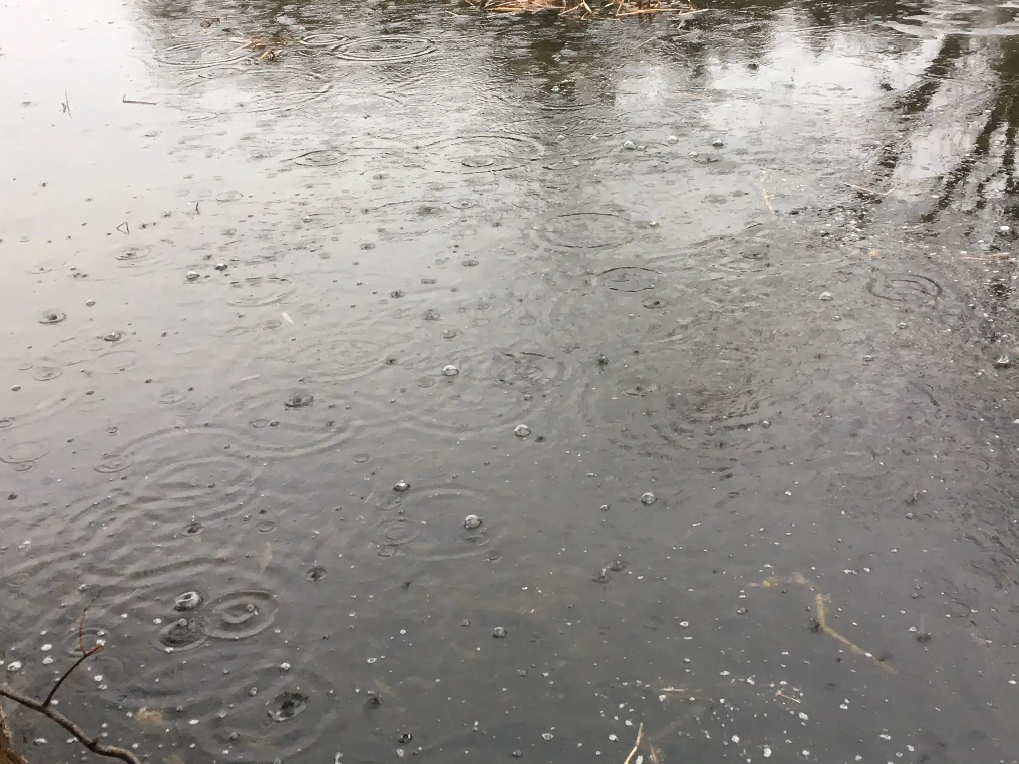 A record soaking | Quinte News