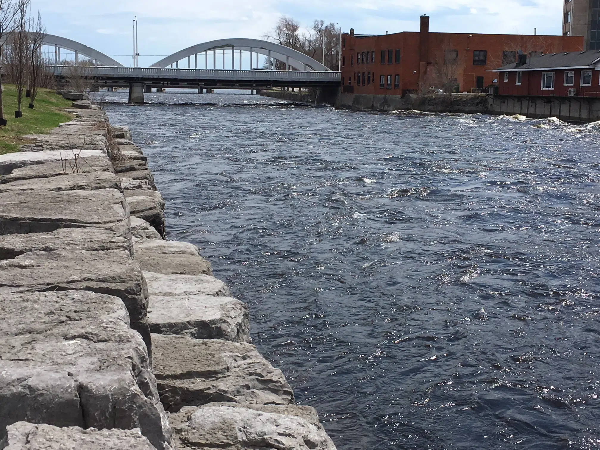 RELEASE: Walk along the Moira river and learn | Quinte News