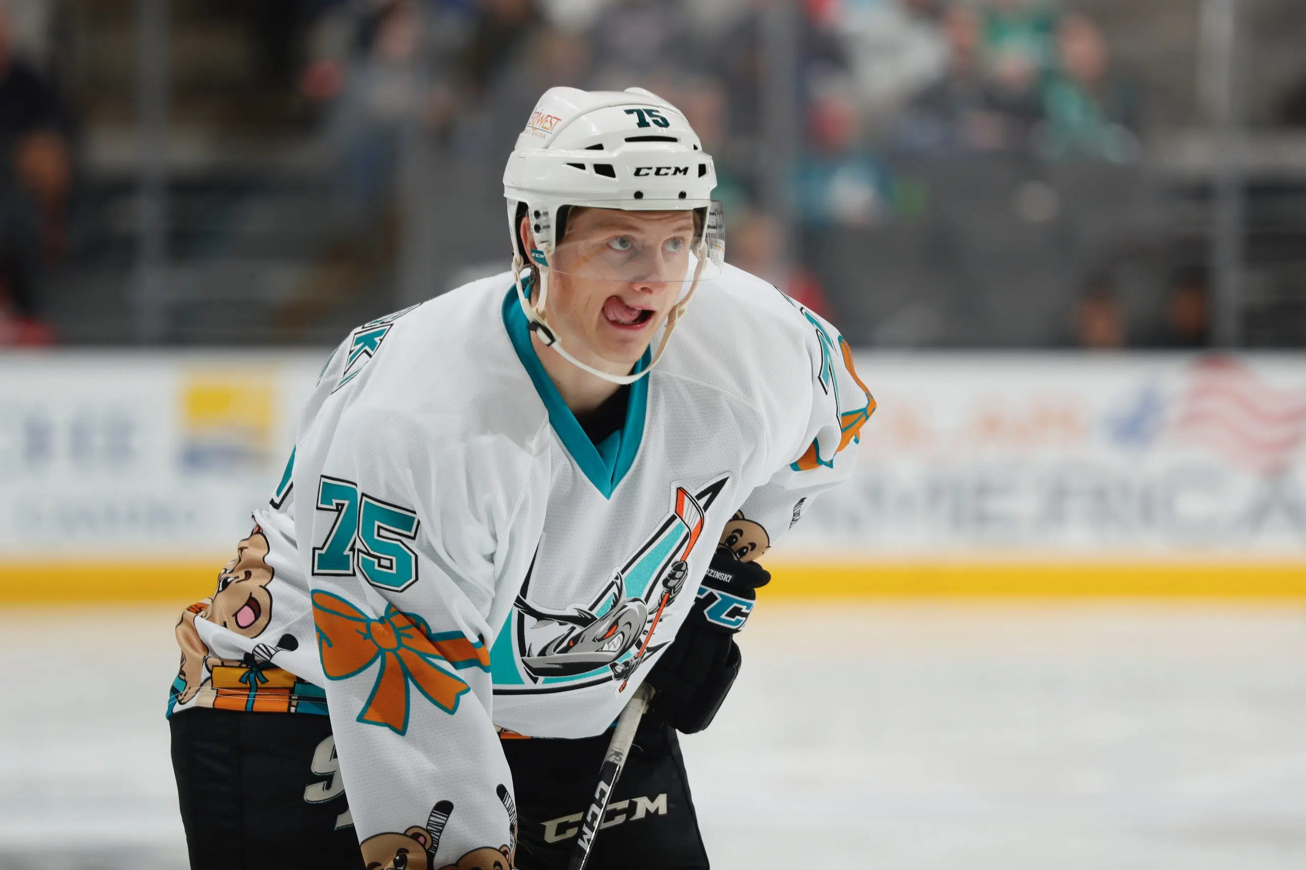 B-Sens and Brodzinkski agree to two-way AHL deal | Quinte News