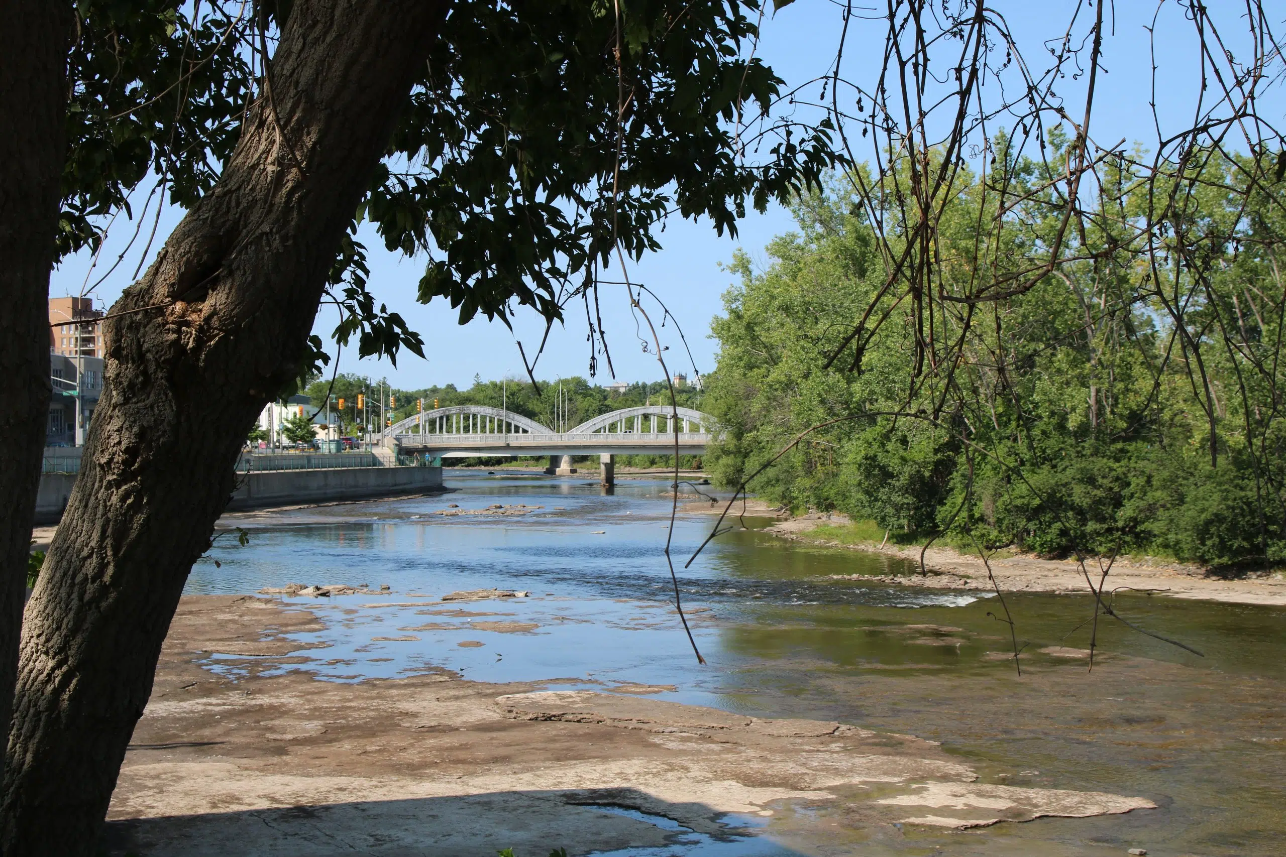 Man pulled out of water | Quinte News