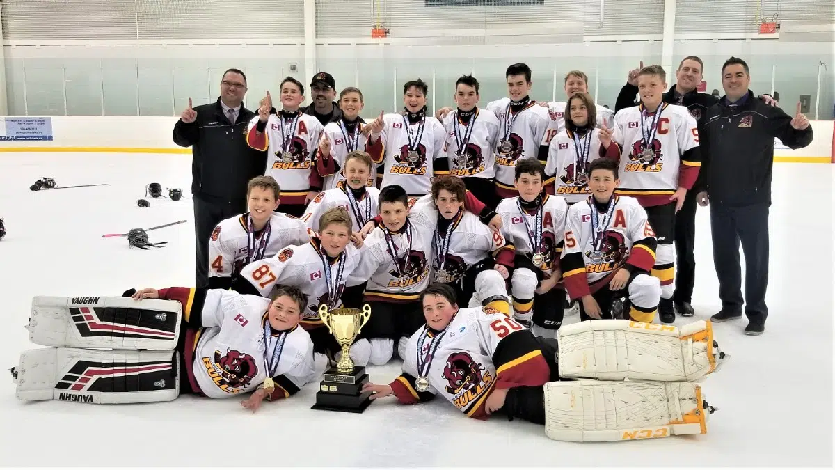 Gold and silver for Junior Bulls | Quinte News