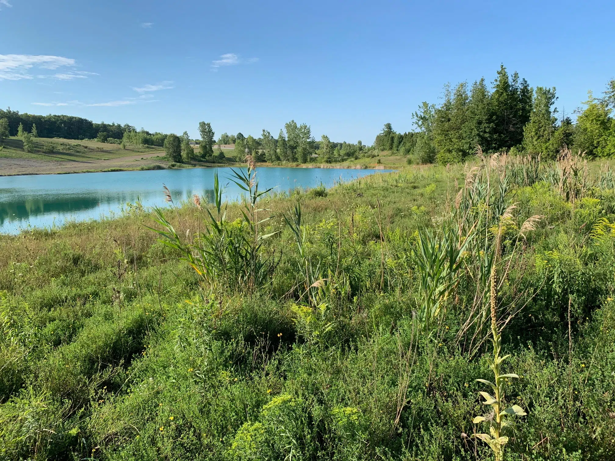 RELEASE: Brighton aggregates pit gets recognition for rehabilitation ...