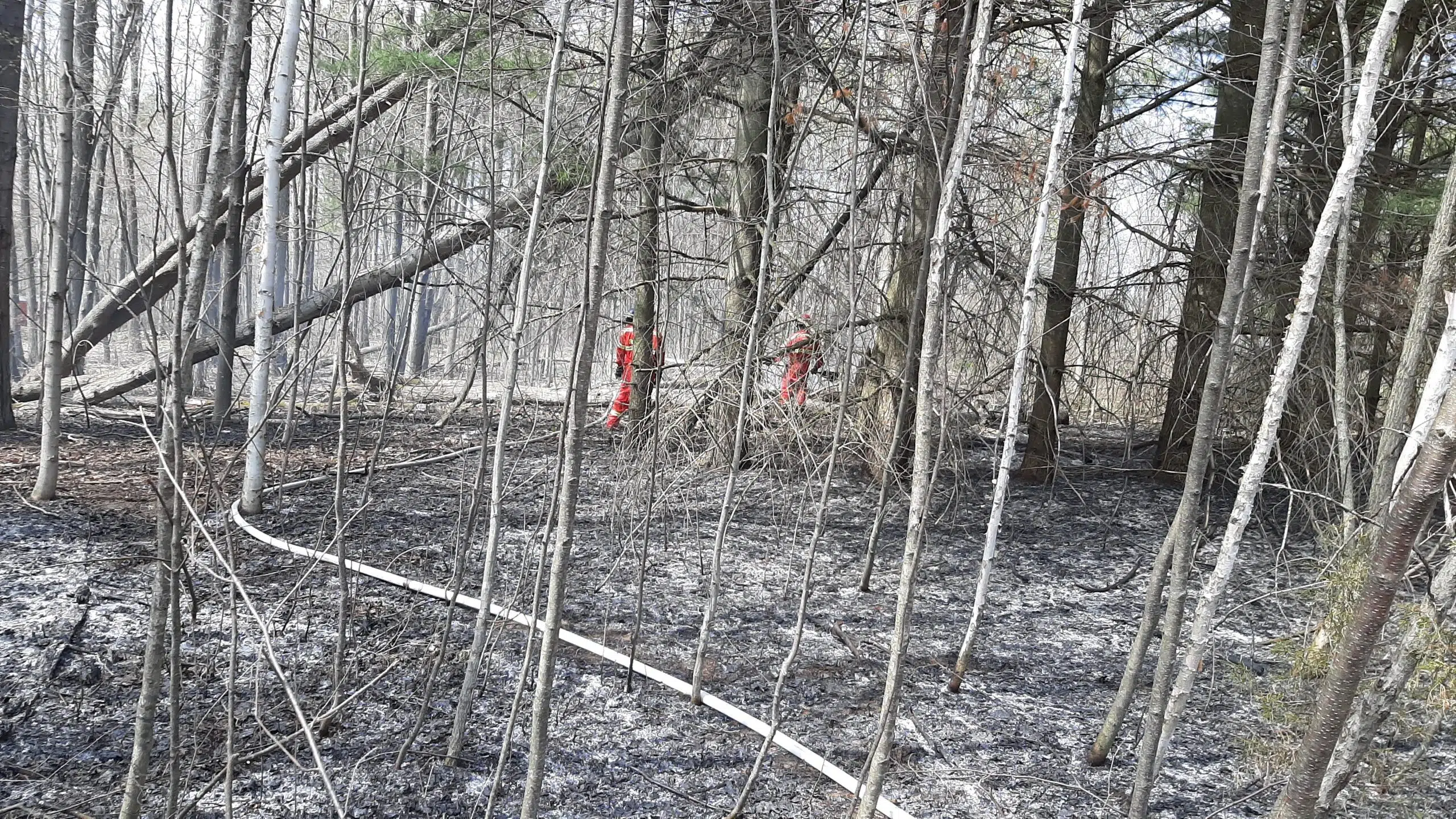 Brush fire in Foxboro area | Quinte News