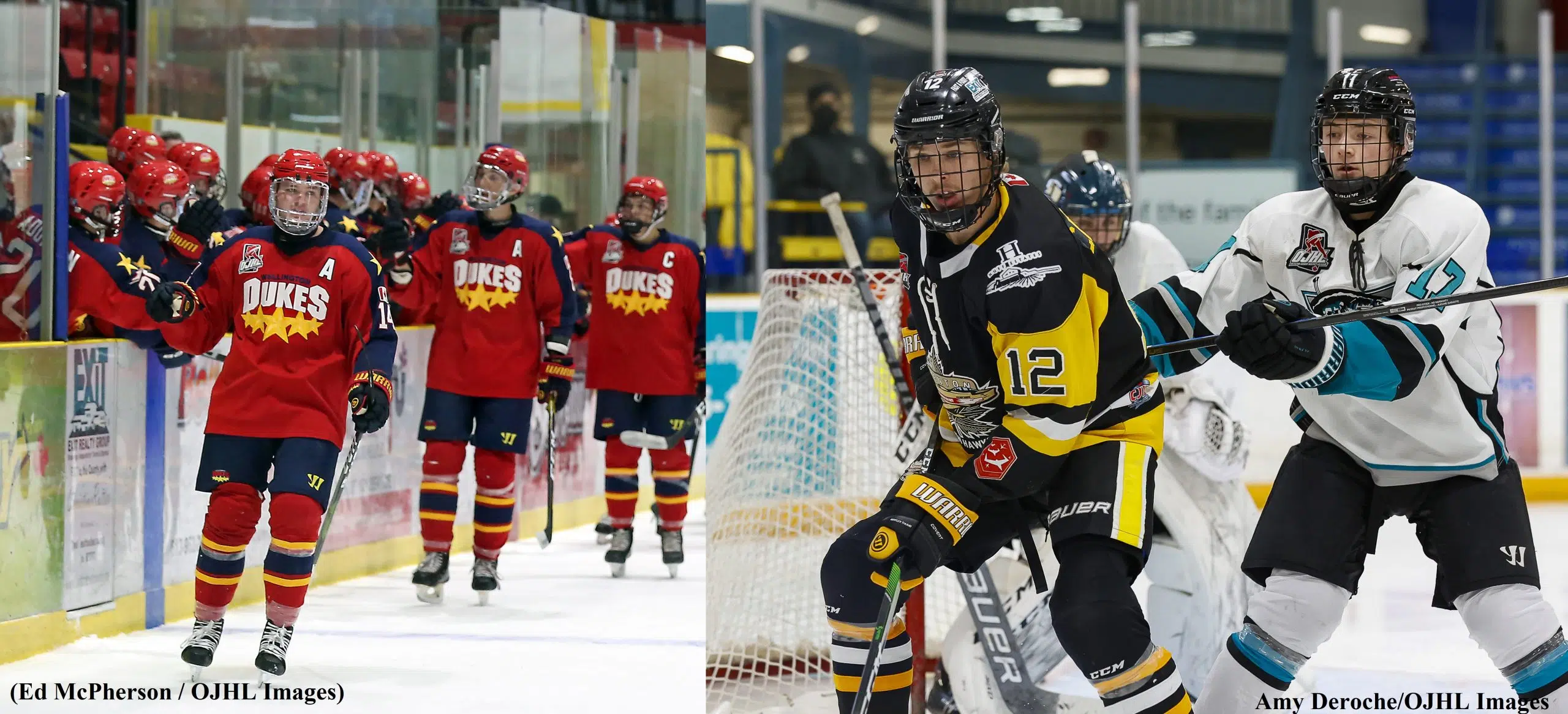 Dukes and G-Hawks start with weekend wins | Quinte News