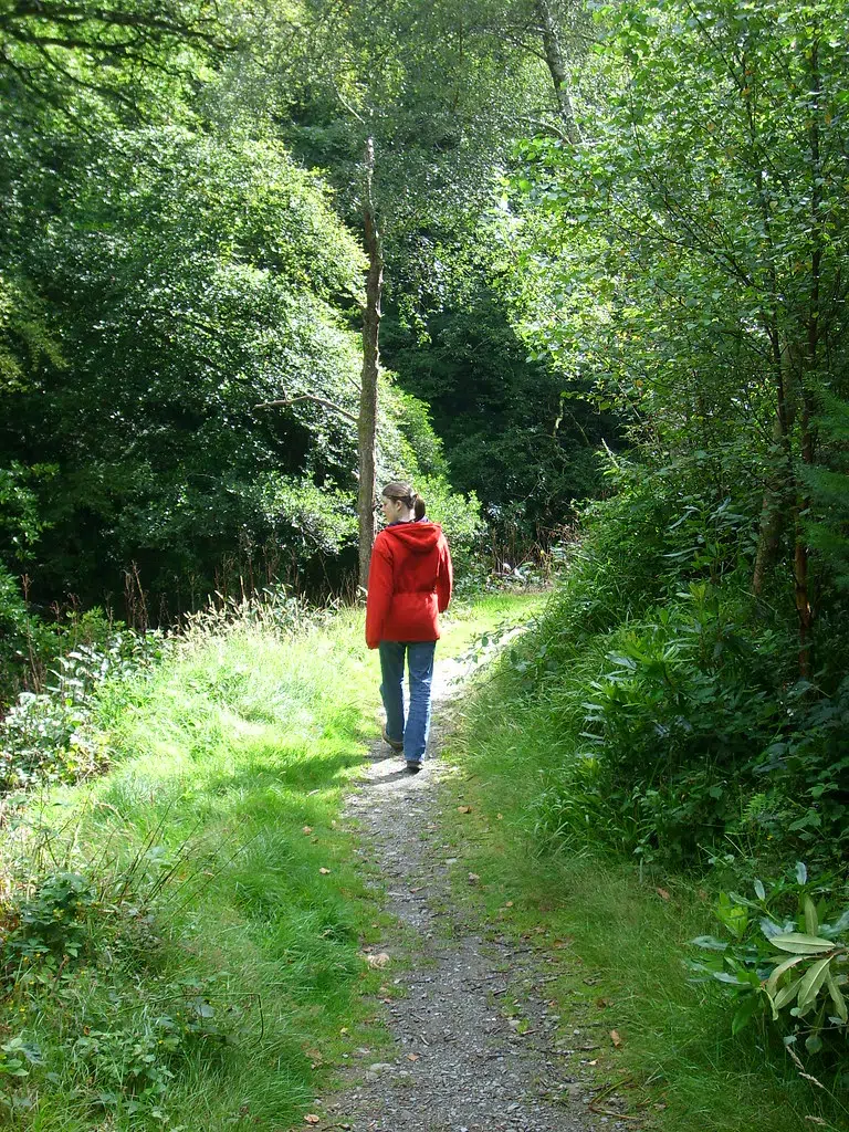 HR Frink Centre fall festival | Quinte News