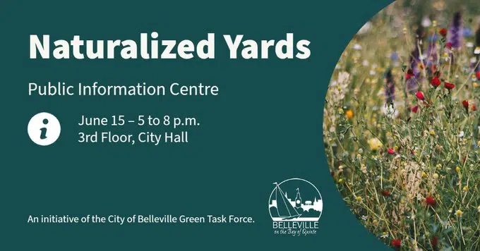 City of Belleville hosting Public Information Centre on lawn ...