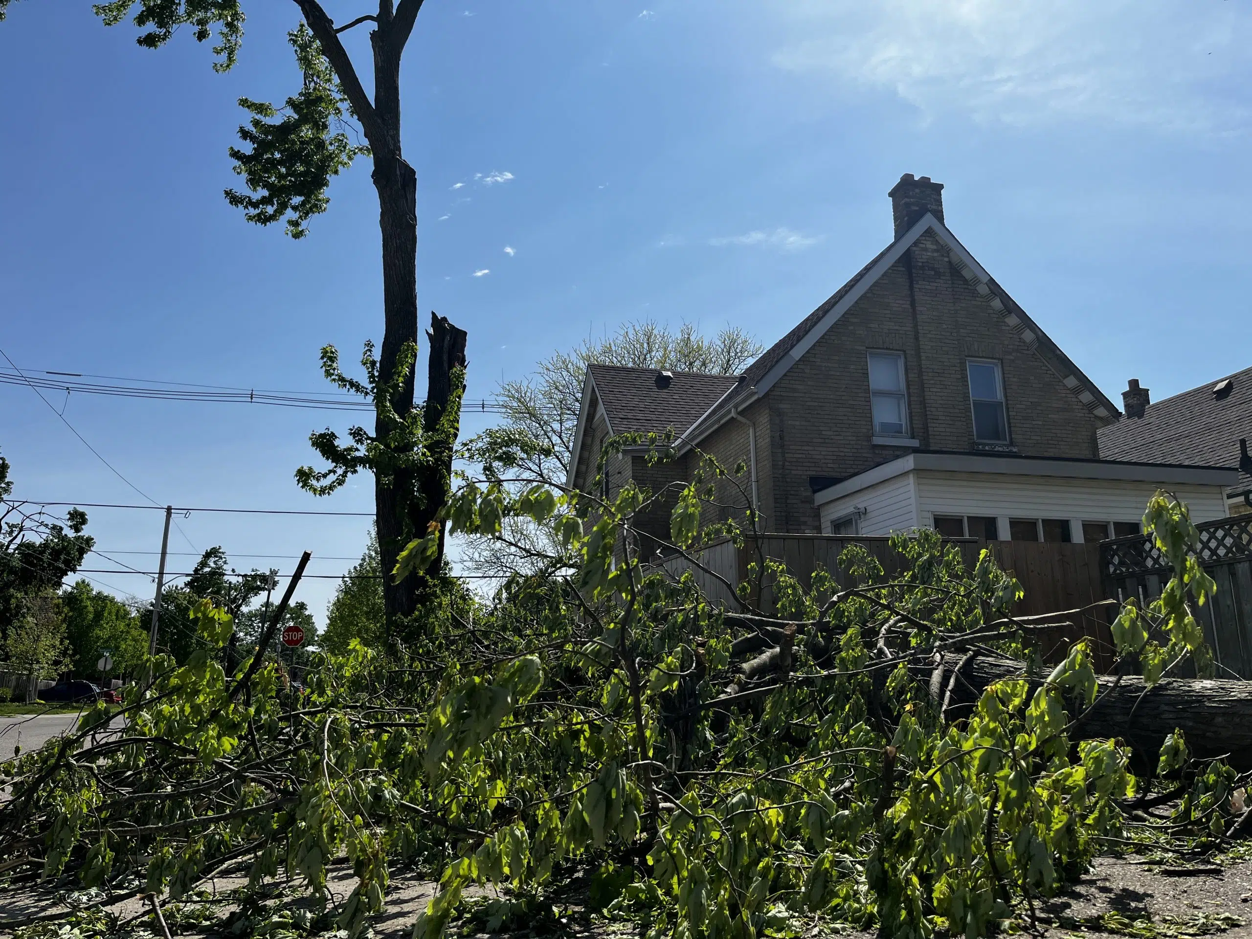 The windstorm aftermath in London around Princess Avenue | CFRL