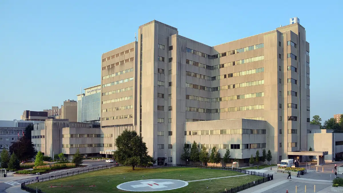 Multiple Immediate Job Openings as LHSC Kicks Off Major Patient Records ...