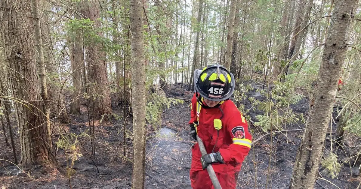 Greater Napanee Fire Services providing aid against forest fire in ...