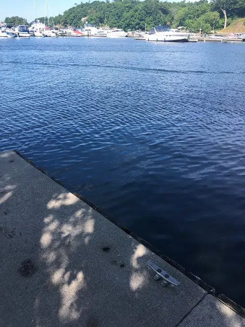 Flood Watch in Gananoque River System continues | GananoqueNow.ca