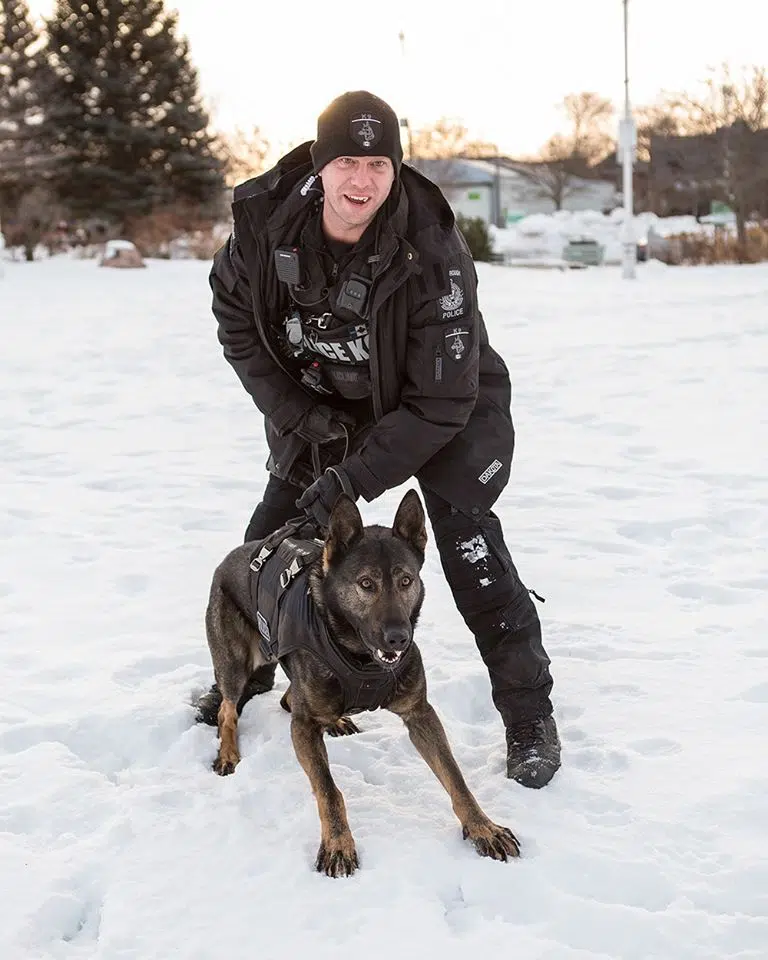 Police Dog Helps In Theft Arrest | PTBO Today