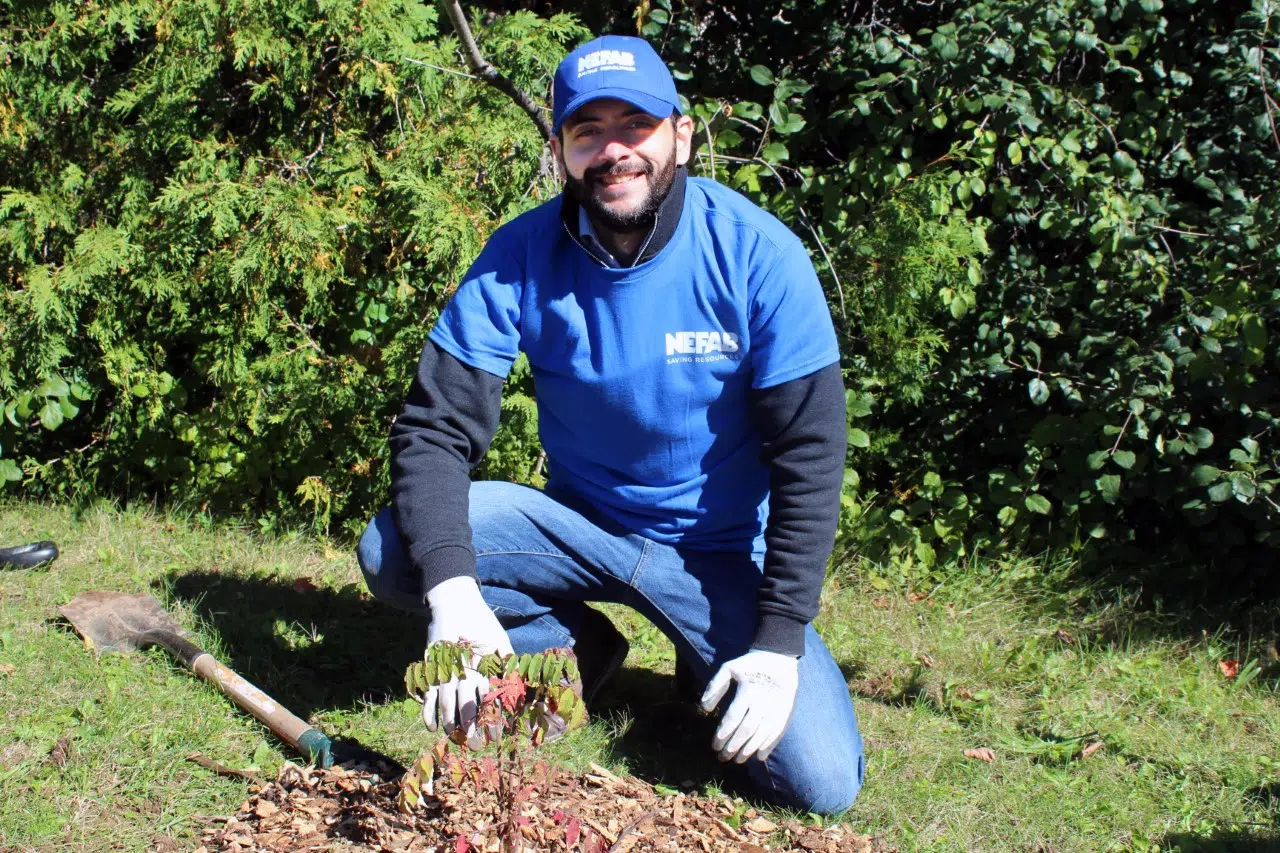 Dainard Park gets a ‘green’ lift with Nefab’s help | PTBO Today