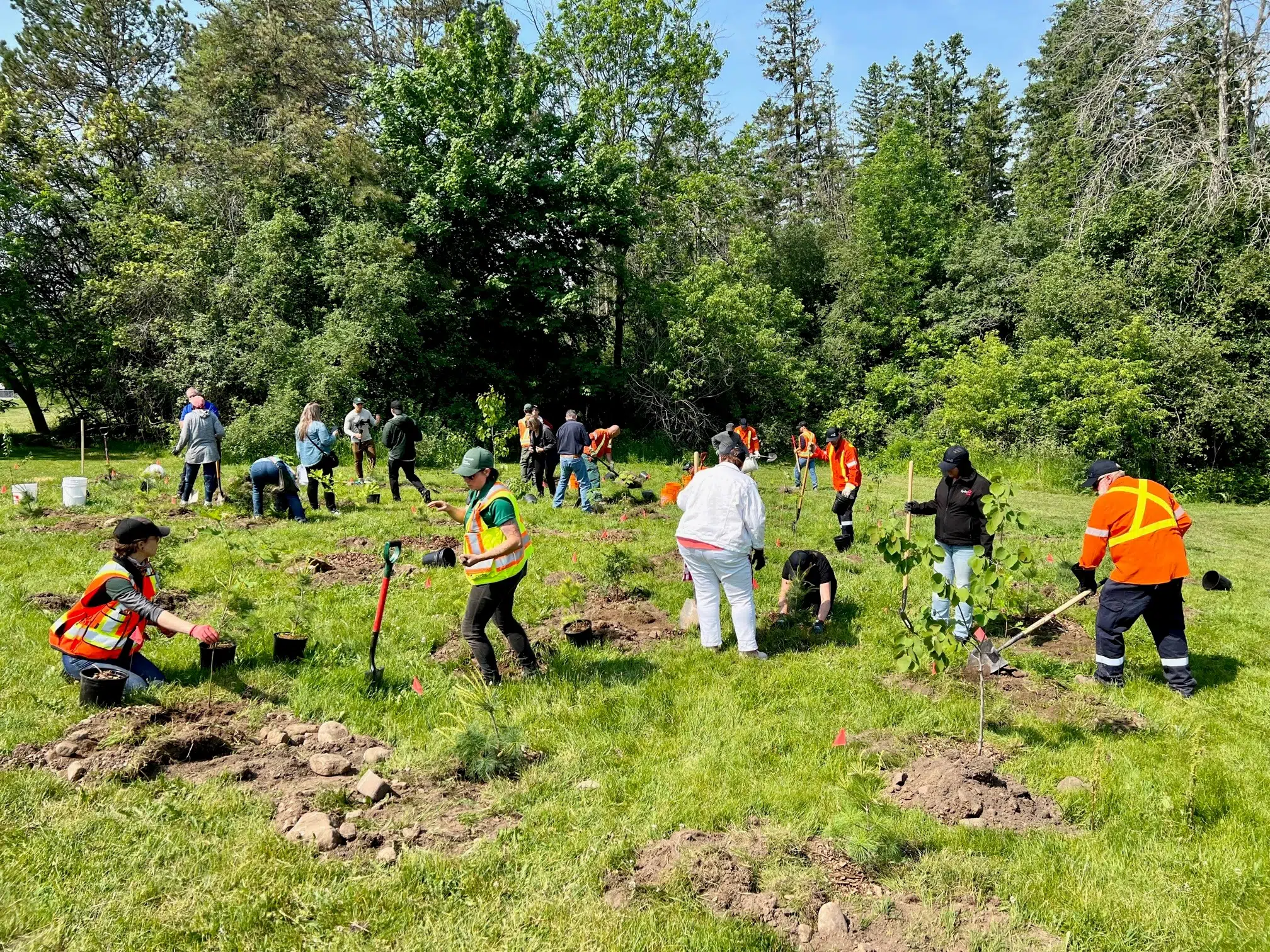 Otonabee Conservation Marks National Forest Week with Tree Planting ...