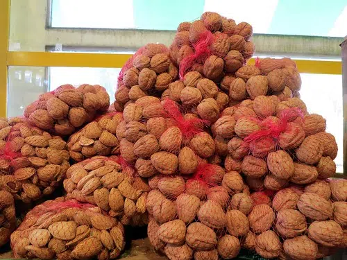 The Testicuzzi (VIDEO) | 102.9 The Buzz