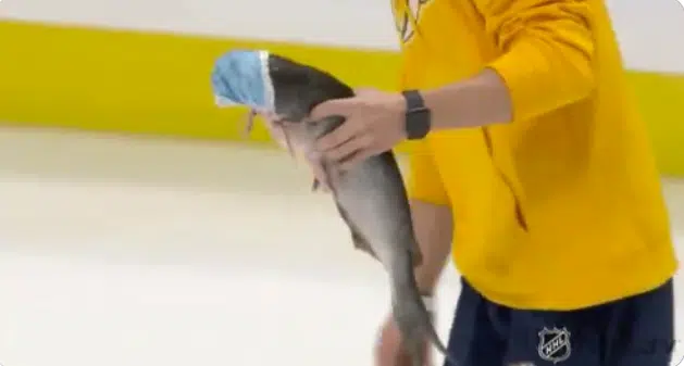 Preds Fan Throws Catfish With Mask Onto The Ice | 102.9 The Buzz