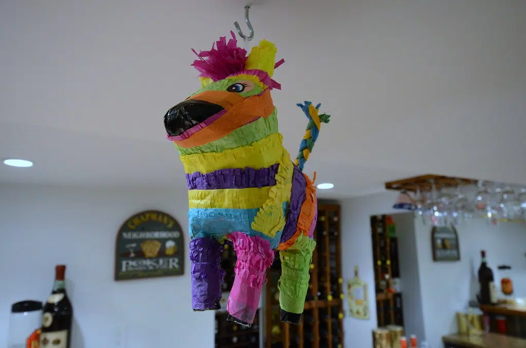 Pinata Fun! (VIDEO) | 102.9 The Buzz