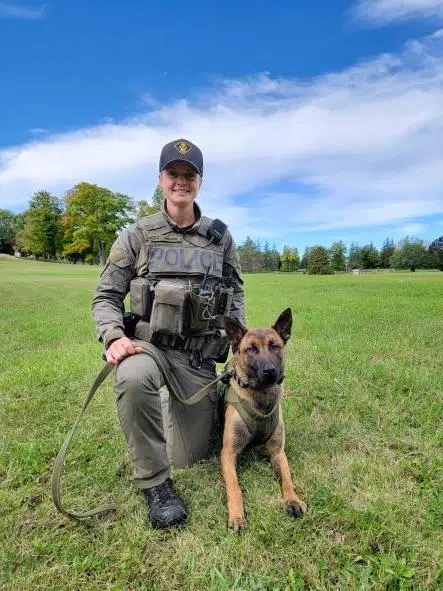 Ontario Provincial Police | MohibMitchel