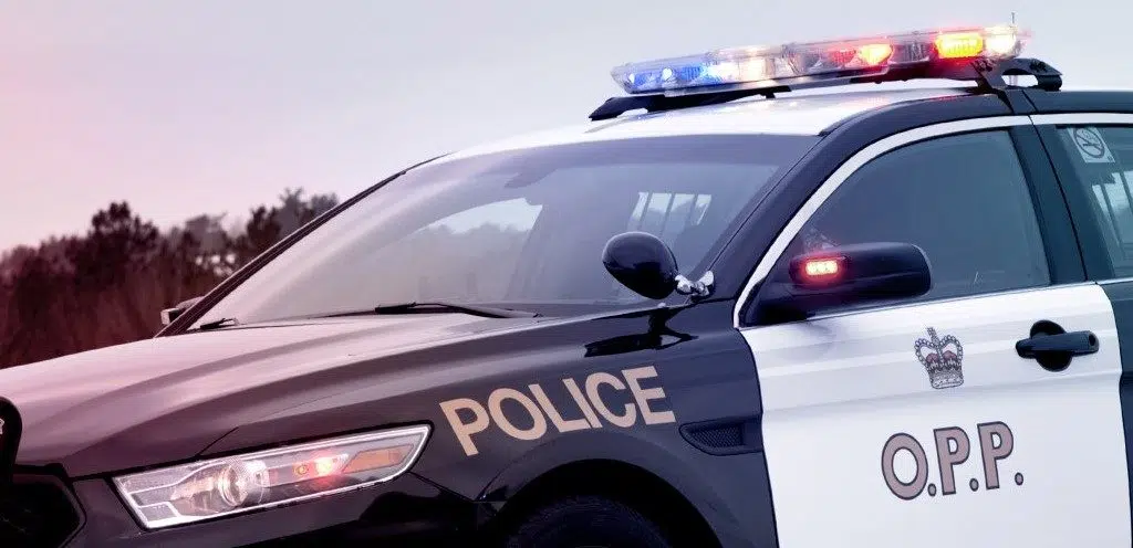 Leeds-Grenville OPP release results from long-weekend blitz ...