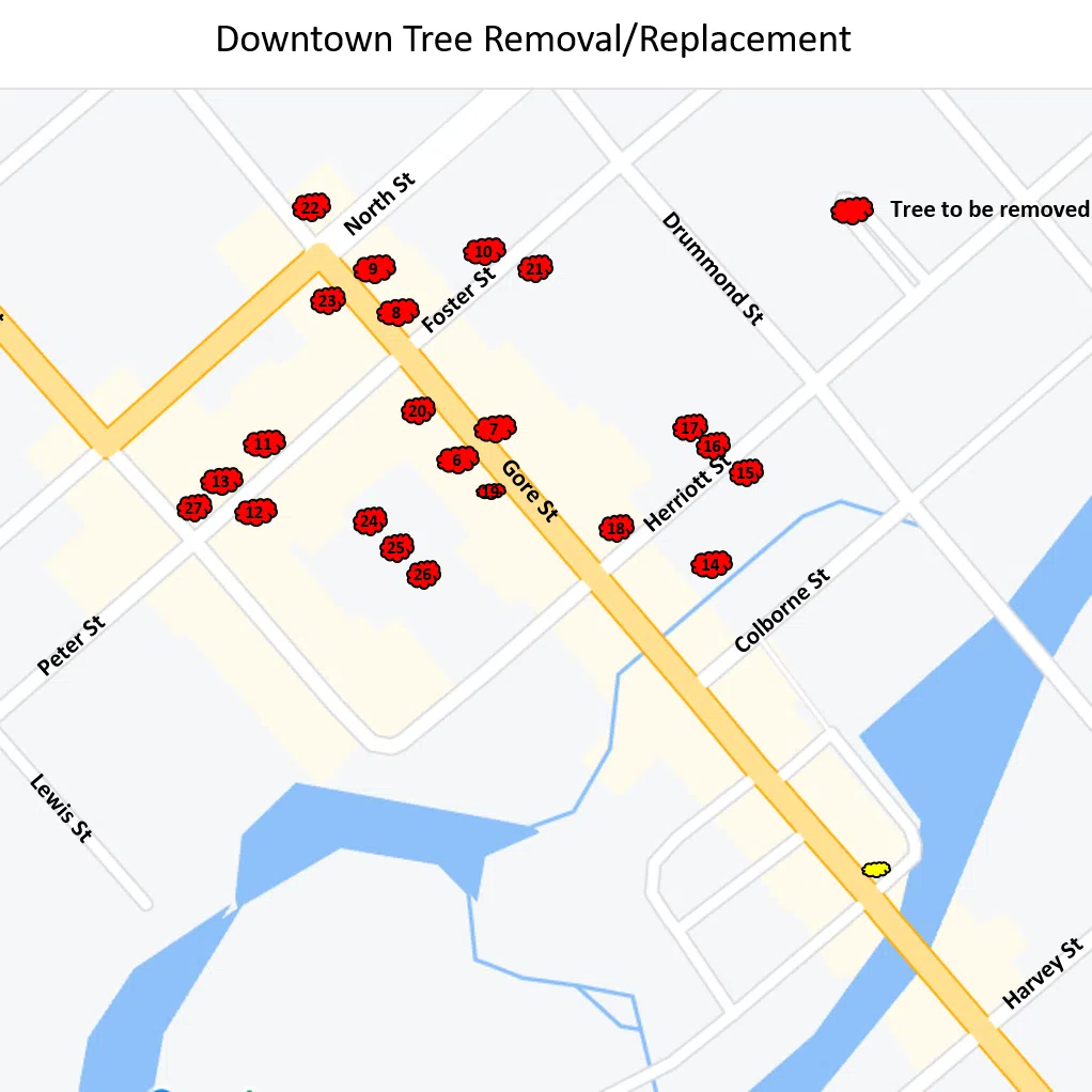 Timber! Tree removal begins next week in Perth | Lanarkleedstoday.ca