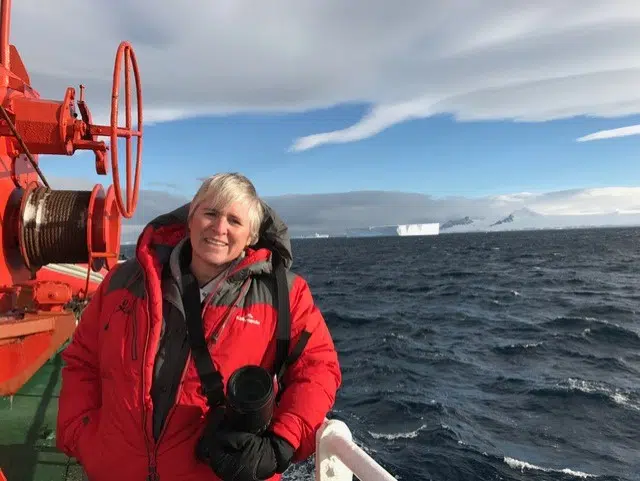 In Focus – Dr Shelley Ball, author of Lyme Disease, Ticks and You ...