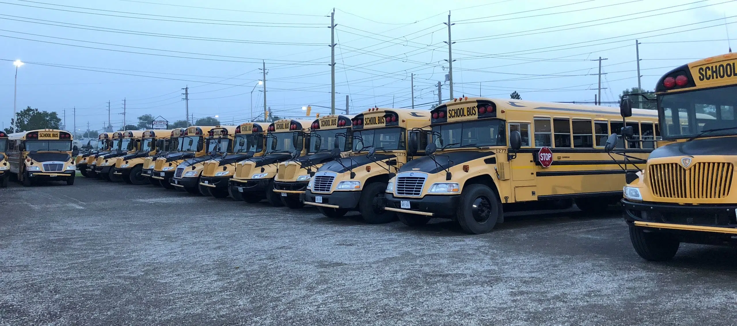 Community Spotlight: School bus registration extended to August 6th ...