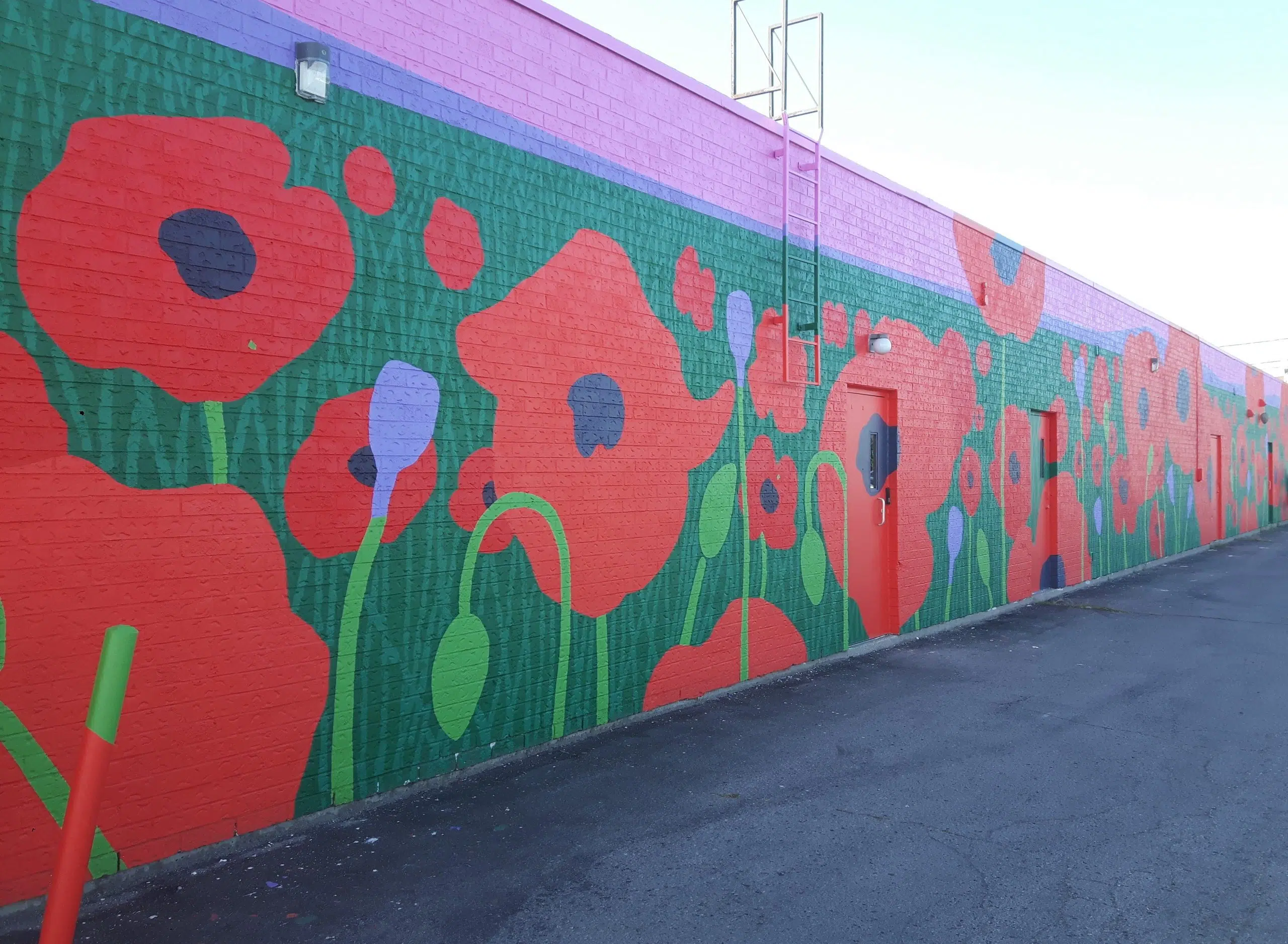 A field of poppies springs up in St. Thomas | 94.1 St.ThomasToday.ca