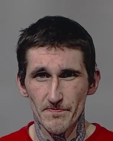 Home invasion suspect arrested in Sarnia | 94.1 St.ThomasToday.ca