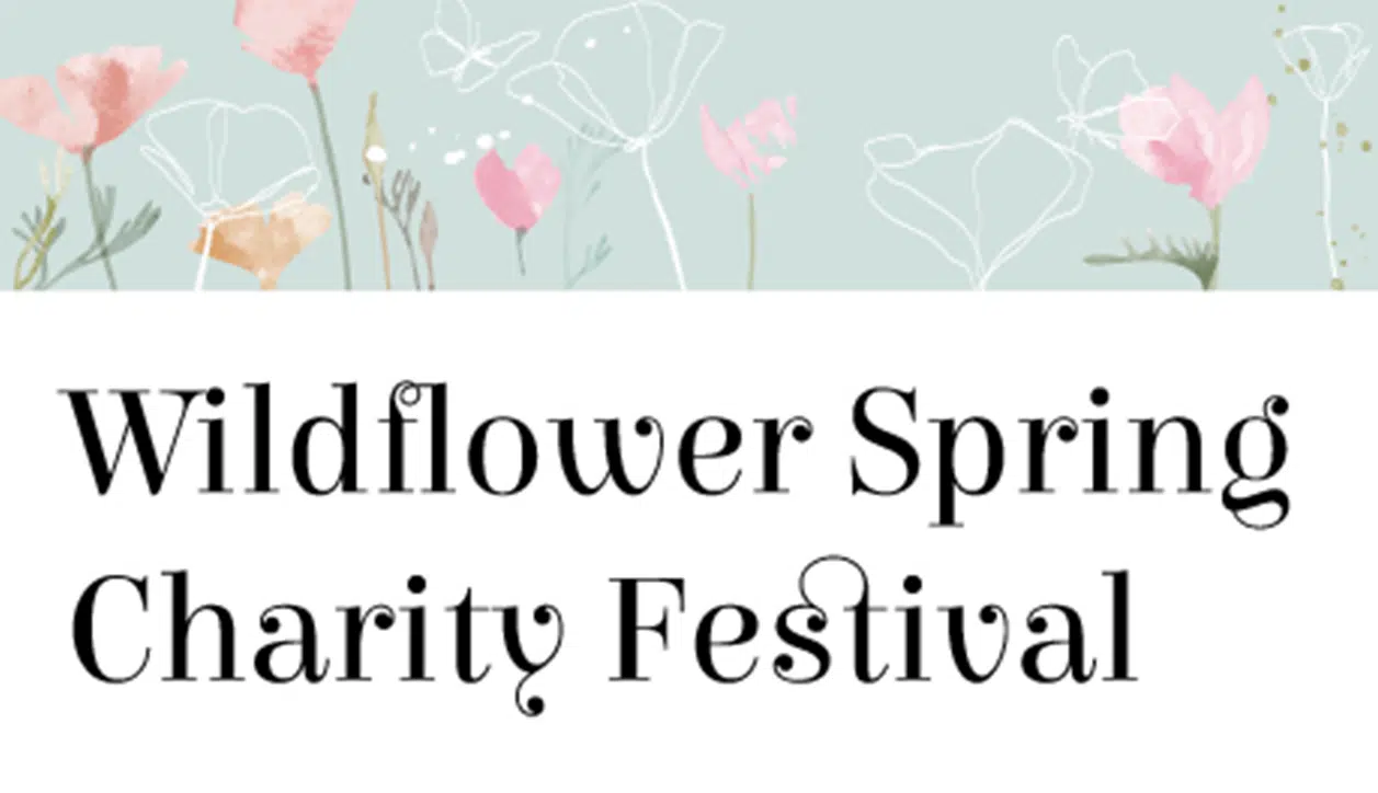 Wildflower Spring Charity Festival in support of STEGH returns Sunday ...
