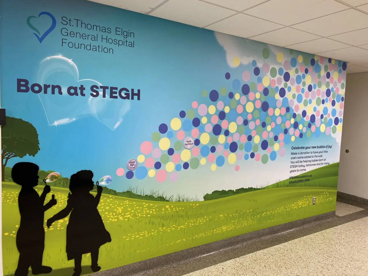 Community Spotlight: Hospital Foundation unveils new “Born at STEGH ...