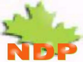 Huron-Bruce Federal NDP Candidate Officially Named | 90.5 Exeter Today