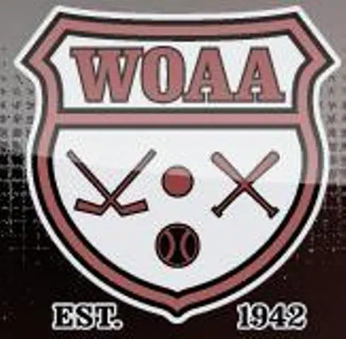 WOAA playoffs have two local teams on a collision course in the finals ...