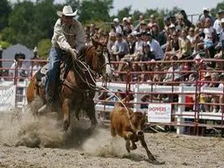 COMMUNITY SPOTLIGHT: Exeter Ram Rodeo is back this weekend | 90.5 ...