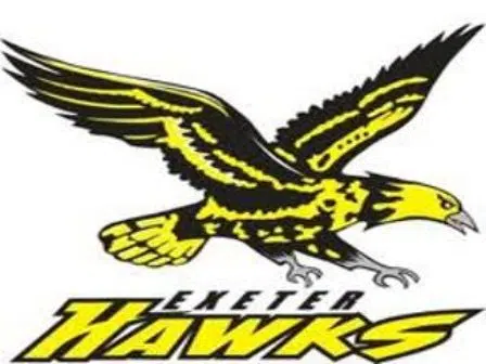 Exeter Hawks in action Friday night at the newly renovated South Huron ...