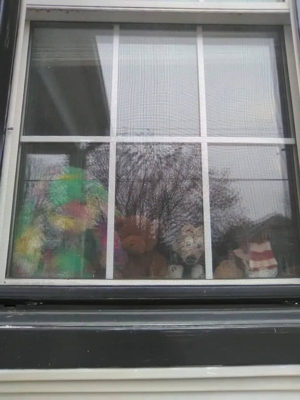 Community wide scavenger hunt taking place in Exeter. | 90.5 Exeter Today