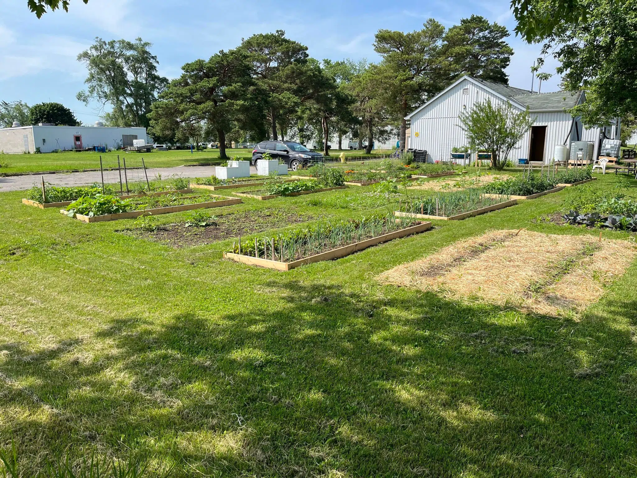 Huron Park’s Community Gardens: Cultivating Sustainability and ...
