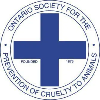 OSPCA encourages community to thank its volunteers | FM101 Orangeville ...